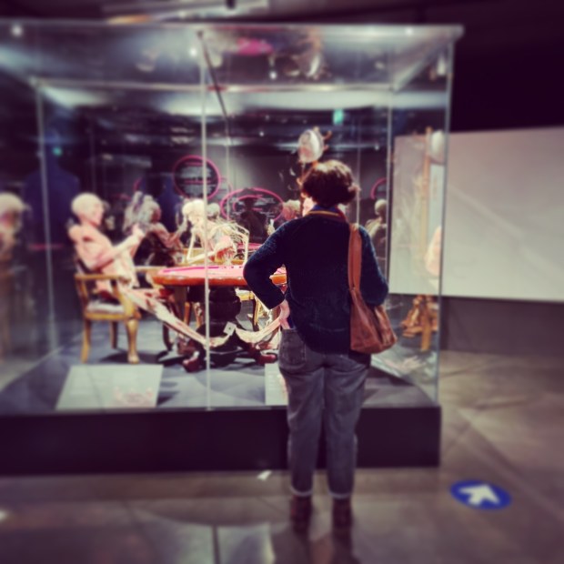 Museum Vrolik and Body Worlds Amsterdam: reflecting on two exhibitions ...