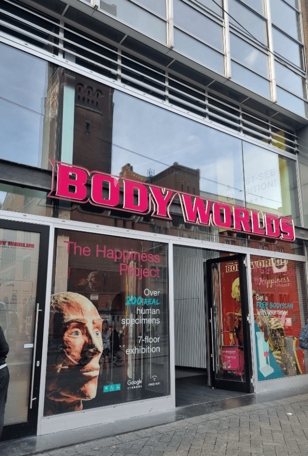 Museum Vrolik and Body Worlds Amsterdam: reflecting on two exhibitions ...